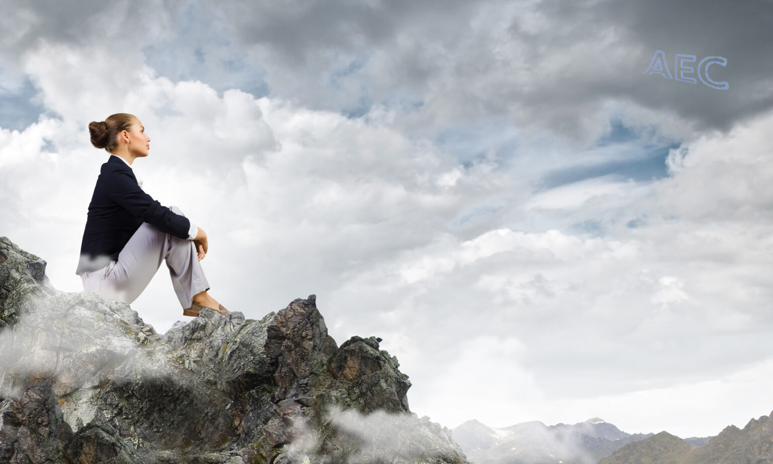 About Us - AEC Online Store